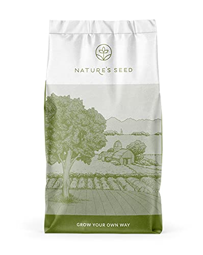 Common Bermudagrass (1 LB)