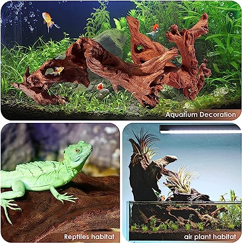 Azil Natural Driftwood for Aquarium Decor Fish Tank Decorations, 3 PCS (6 to 8 Inch) Assorted Branches Decorations on Reptile Tank