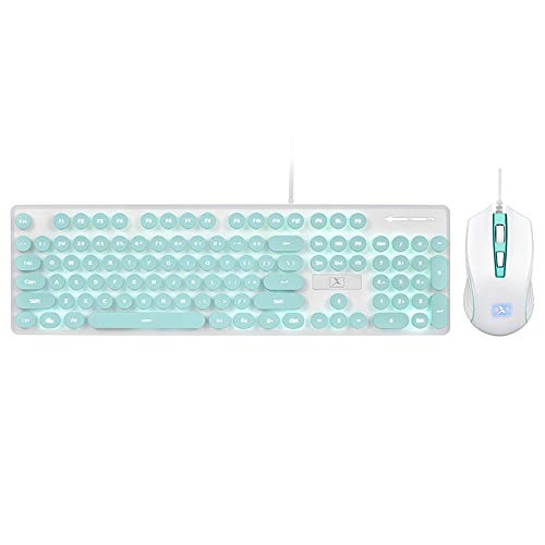 LexonElec Wired Keyboard and Mouse Combo,104 Keys White LED Backlit Punk Keycap Ergonomic Pro Gaming Keyboard,1600DPI 4 Buttons Optical Gaming Mice for Laptop PC (Mint Green)