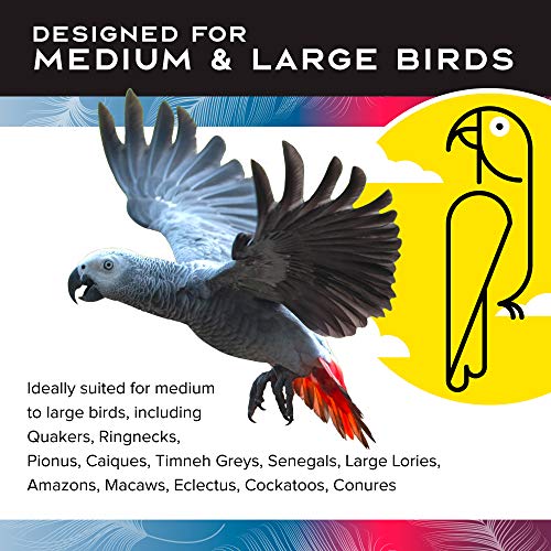 Featherland Paradise | Foraging Ball with Bell Interactive Bird Toy and Treat Dispenser | Creative Foraging Systems | Ideal for Medium to Large Birds