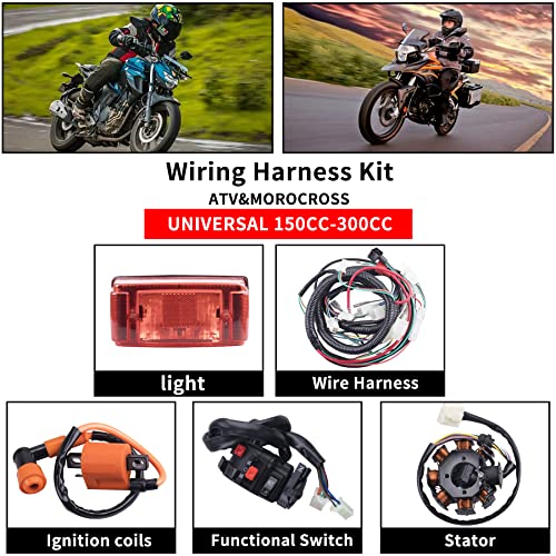 Complete Electrics Wiring Harness Stator Coil CDI Solenoid Relay Spark Plug Tail Light for 4 Wheelers Stroke ATV (150cc 200cc 250cc 300cc) Pit Dirt Bike Go Kart Zongshen Lifan by OTOHANS AUTOMOTIVE