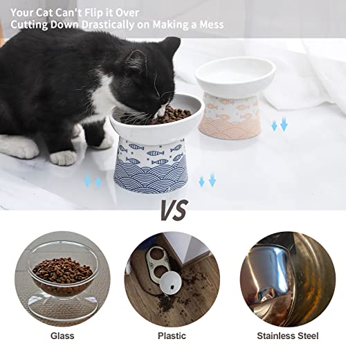 Ceramic Raised Cat Bowls, Elevated Tilted Cat Food and Water Bowls Set, Porcelain Stress Free Pet Feeder Dish for Cats and Small Dogs, Dishwasher and Microwave Safe, Set of 2