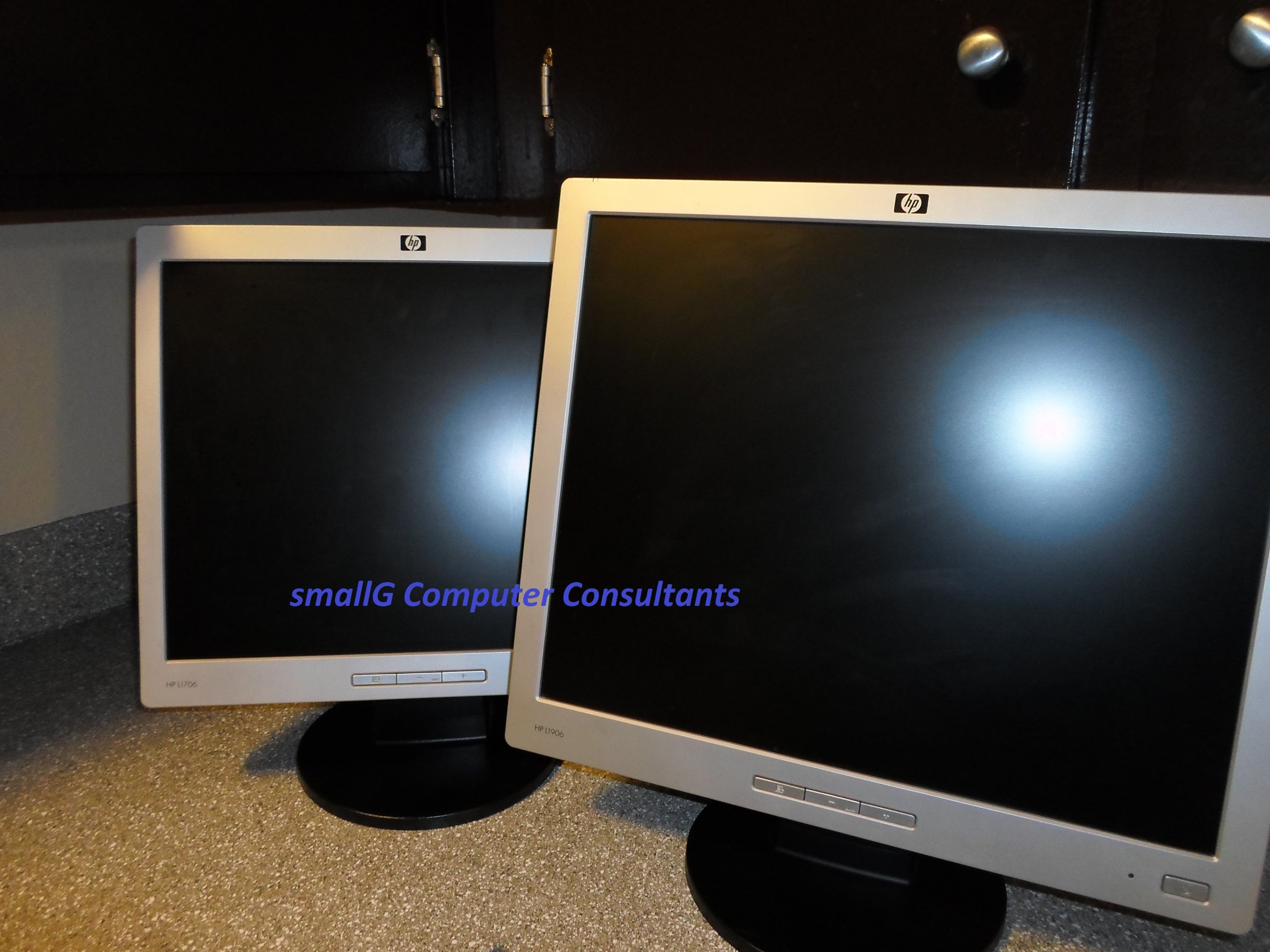 HP L1706 17" 1280x1024 LCD VGA Monitor (Silver/Black)