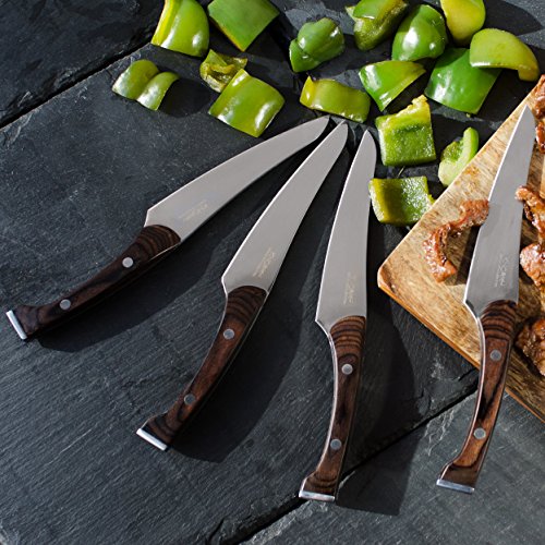 Knork Pakkawood Steak Knife, 4Piece (Set of 4), Silver