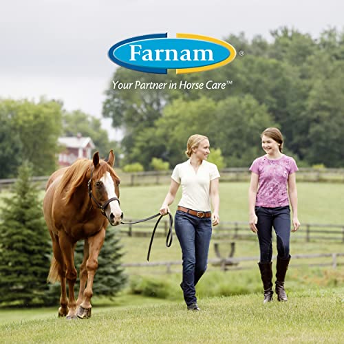 Farnam Vetrolin White ’N Brite Shampoo, Deep Cleaning and Color Brightening Shampoo for Horses and Dogs. 32 ounces