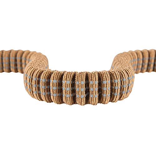 Carhartt Shock Absorbing Dog Leash Carhartt Brown/Brushed Brass