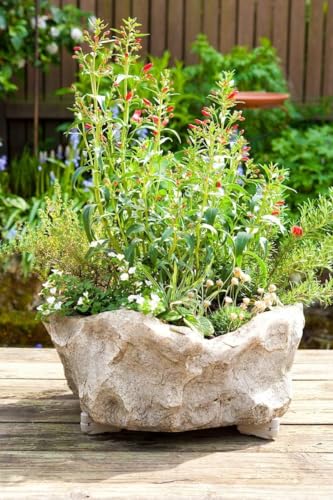 Bosmere Pot Toes, Plant Pot Risers for Indoor and Outdoor, Prevent Stains and Rotting on Wood, Cement, and Tile - Black (Pack of 12)