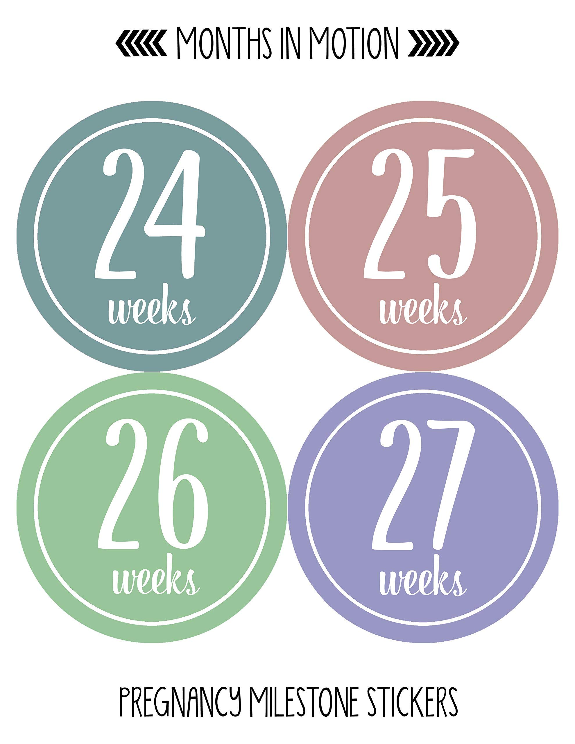 Months In Motion Pregnancy Weekly Belly Growth Stickers Pregnant Expecting Maternity Keepsake - Baby Bump - Large Set of 36 Weekly Photo Sticker