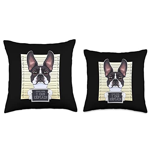 Boston Terrier Gifts For Women & Mothers Day Gifts Dear Can Explain Mom I Boston Terrier Throw Pillow, 16x16, Multicolor
