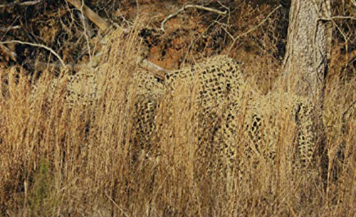 CamoSystems Premium Series Ultra-lite Camouflage Netting, Large, 7'10" W x 19'8" L, Original Camo - Green/Brown
