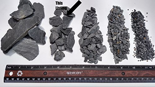 Natural Slate Stone -1/2 to 1 inch Stones for Miniature or Fairy Garden, Aquarium, Model Railroad & Wargaming (1)