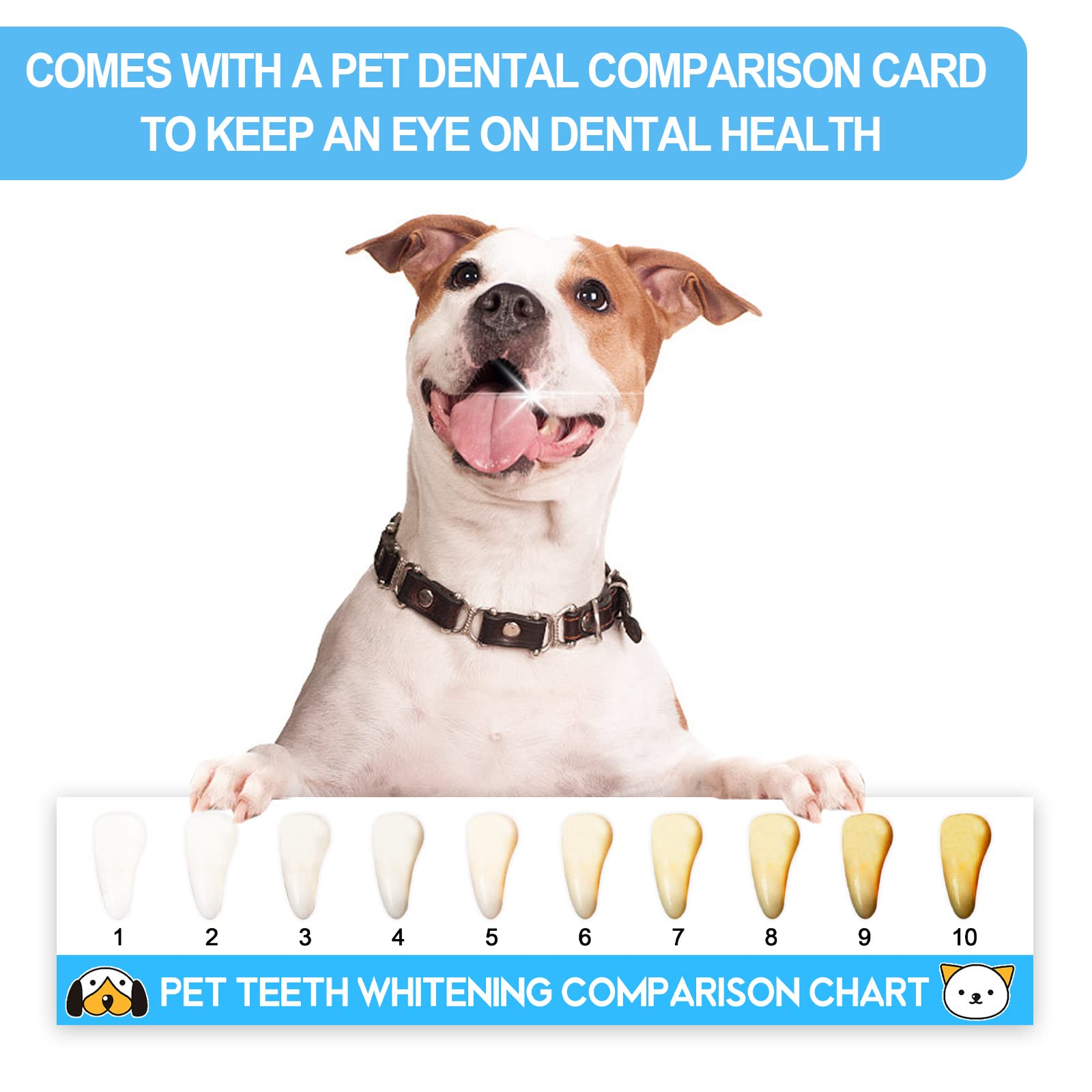 VVHOMIFE Small Dog Toothbrush Kit,Puppy Tooth Brushing Kit, Suitable for All Puppy and Samll Dogs Dental Care. White, Soft Bristles, Meet All Cleaning Needs, Multi-Functional Dental Cleaning.