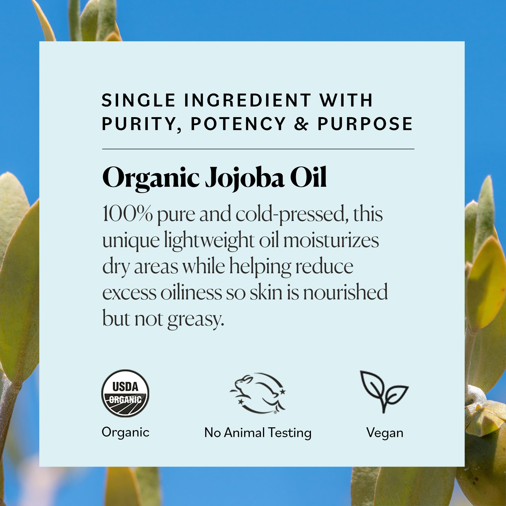 Sky Organics Organic Jojoba Oil for Face, Balancing Oil for Light Hydration & Helps Reduce Excess Oiliness, Suitable For Oily, Combination and Blemish-Prone Skin, 100% Pure & Cold-Pressed, 4 fl. Oz with ebook