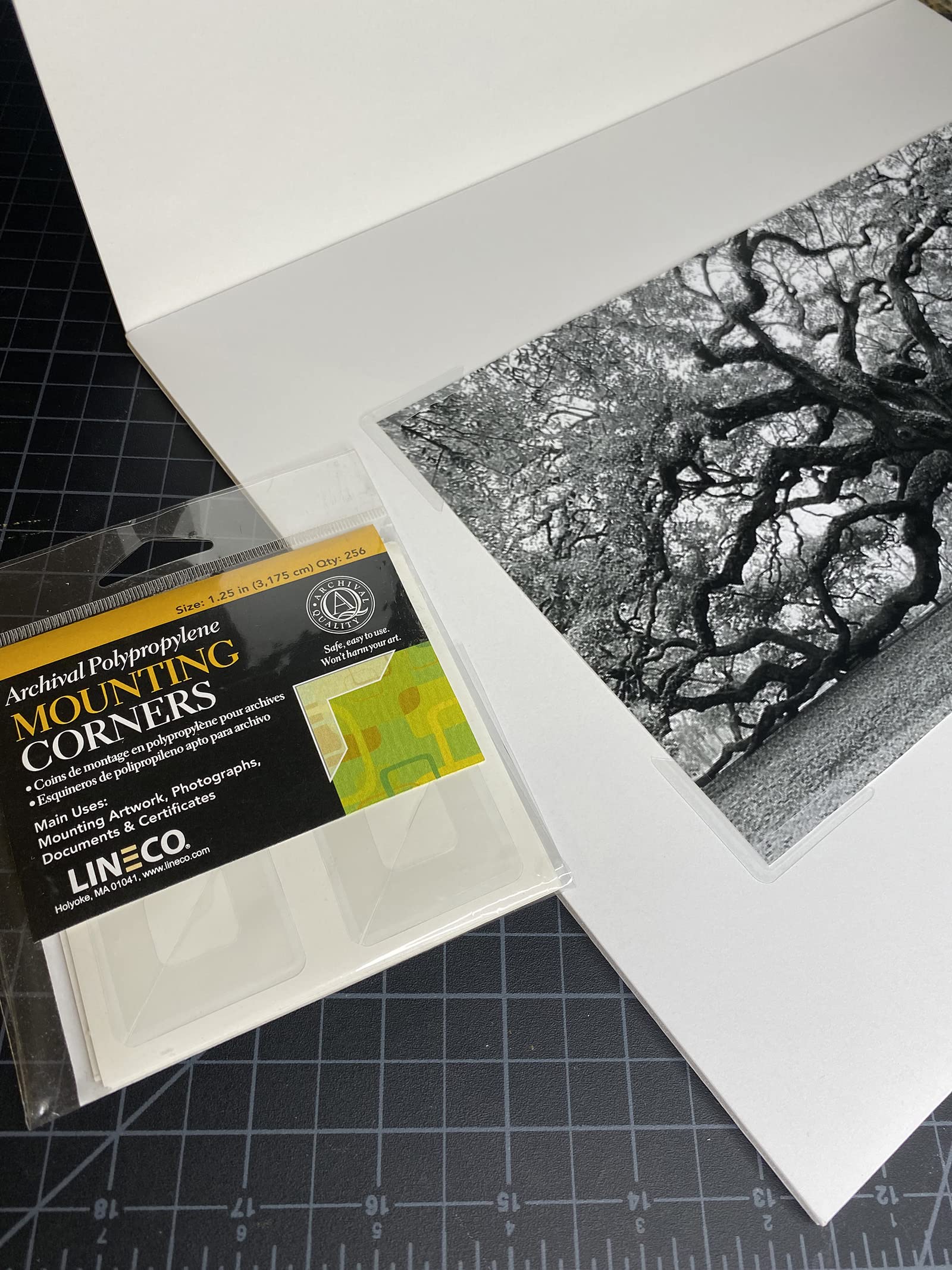 Lineco Archival Polypropylene Mounting Corners, Self Adhesive Clear Photo Corners, Acid-Free, 1.25 Inches, Mounting Artwork, Photographs, Documents.