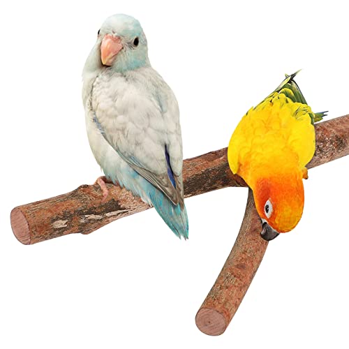 Balacoo Bird Stand Perch Bird Training Stand: Anti-Slip Design: The Surface is Rough, The Bird can Stand Comfortably and Safely, and not Easy to Slip. Paw Grinding Perch
