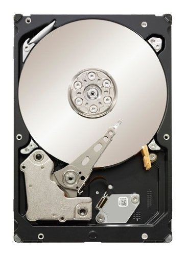 Seagate ST31000524NS 1TB 7200RPM 3.5" SATA HD (Renewed)