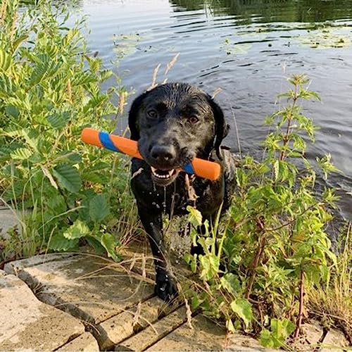 Chuckit Ultra Fetch Stick Outdoor Dog Toy, for All Breed Sizes