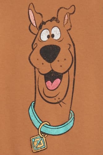 Scooby-Doo Baby Boys 3 Pack Short Sleeve Bodysuit Gray/Blue/Brown 6-9 Months