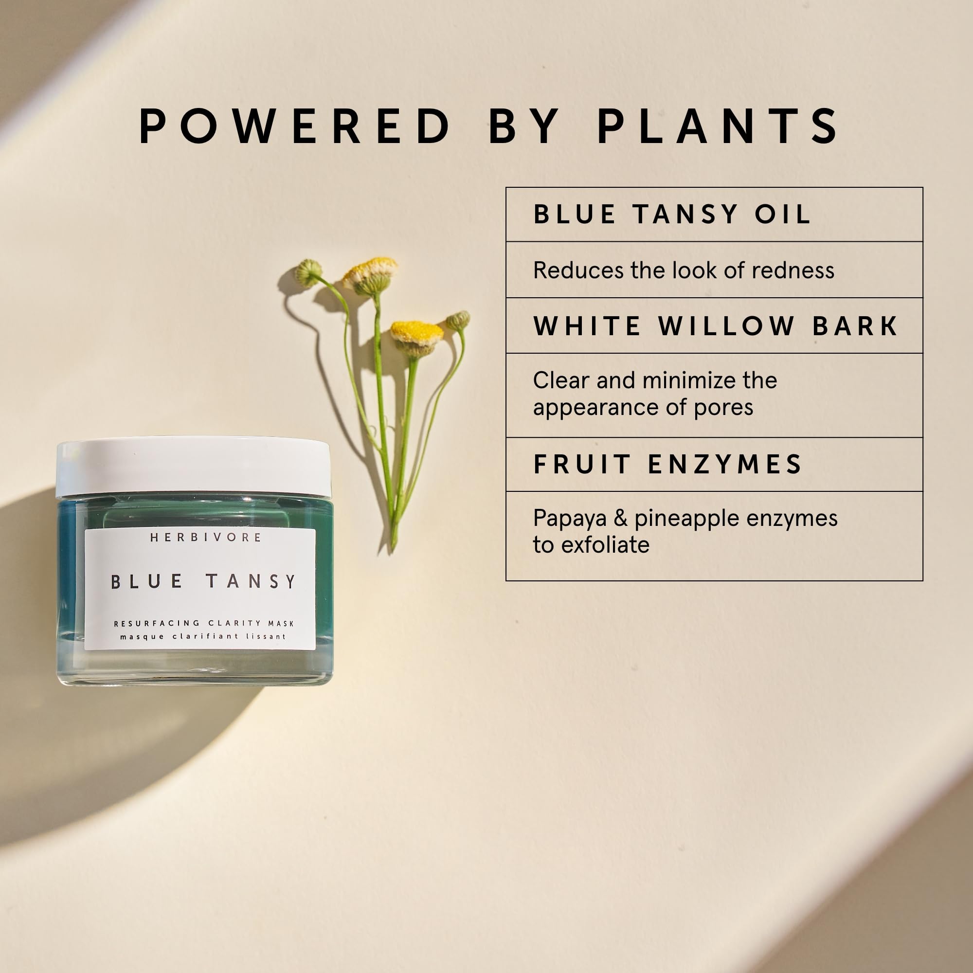 HERBIVORE Blue Tansy BHA & Enzyme Pore Refining Mask - Naturally Clarifies Acne, Blemishes & Redness, Vegan & Cruelty-Free, 60 mL / 2.02 oz