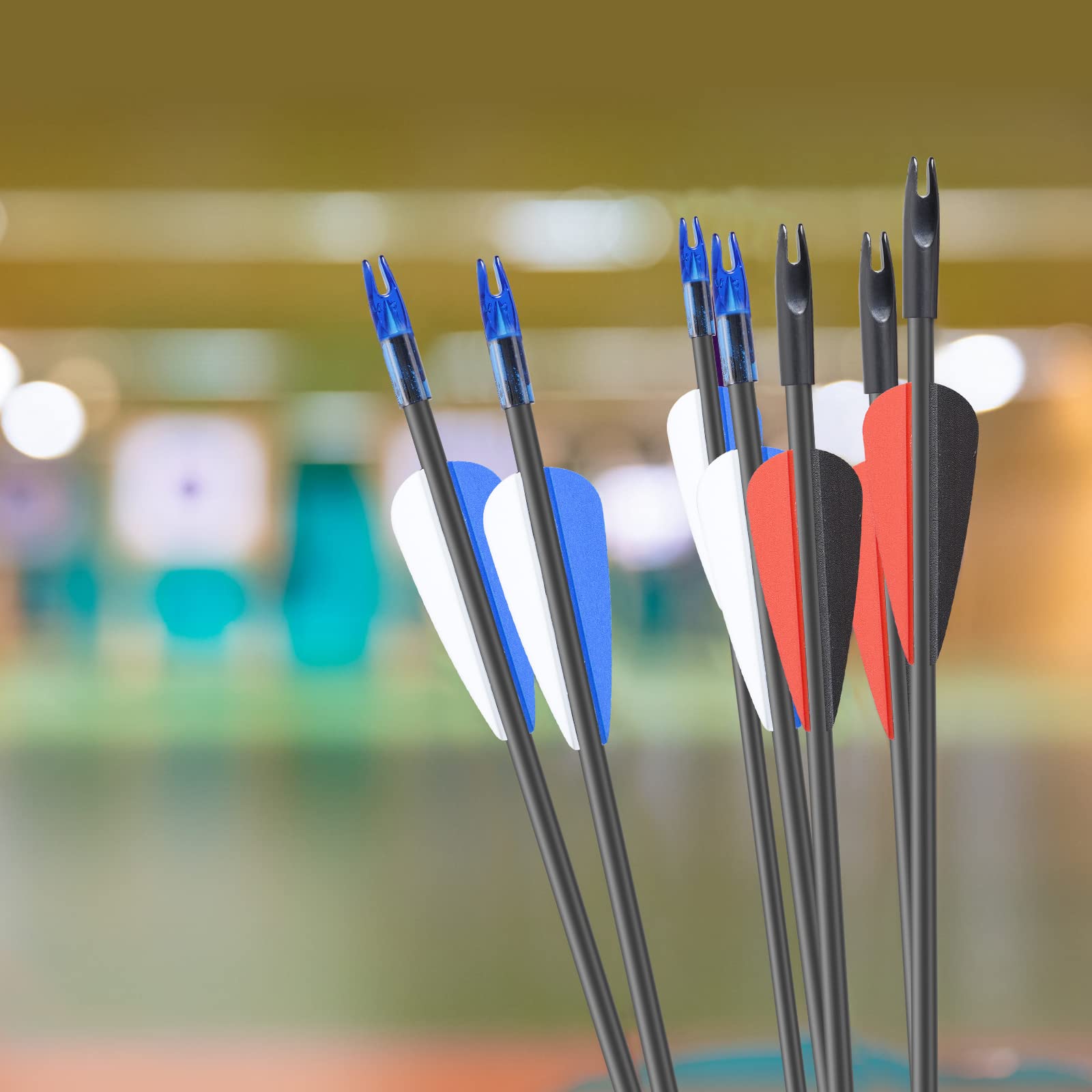 Aimdor Fiberglass Arrow 12 Pcs 30 Inch Targeting Practice Arrows Safety Arrows Hunting Arrows for Recurve Bow Compound Bow Beginner Arrow Kids Arrows with Paper Target Arrow Puller and Target Nails