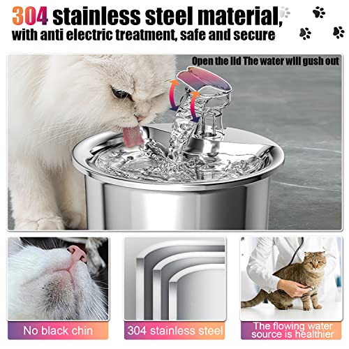 CanvasLot Cat Water Fountain, Pet Fountain for Cats Inside,Ultra-Quiet 2L/67oz Automatic Dog Water Fountain Stainless Steel with 4 Replacement Filter