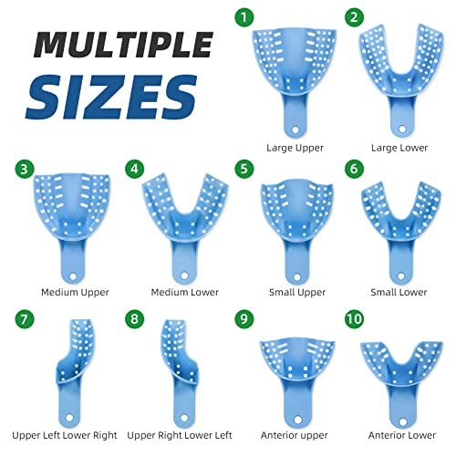 Annhua Dental Impression Trays Autoclavable 10 PCS, Perforated Impression Trays Set Plastic Teeth Holder for Dental Clinic, Lab Equipment, Dental Students - Blue