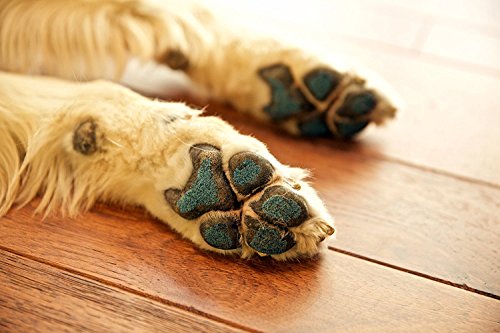PawFriction - Paw Pad Traction - Increase Your Dog's Quality Of Life (Packaging may vary)