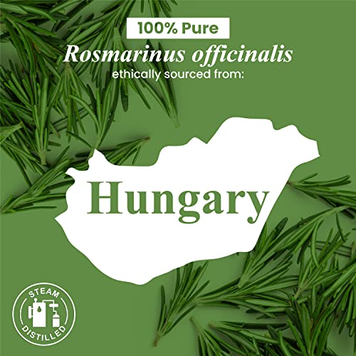 Rosemary Essential Oil - Huge 4 Fl Oz - 100% Pure and Natural - Premium Grade Essential Oil for Diffuser and Aromatherapy