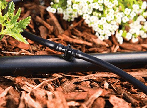 Gardener's Poly Tubing (1/2"-inch) .600 ID x .700 OD - Irrigation, Hydroponics, Growing - Water Distribution Tube (100 Foot Roll)