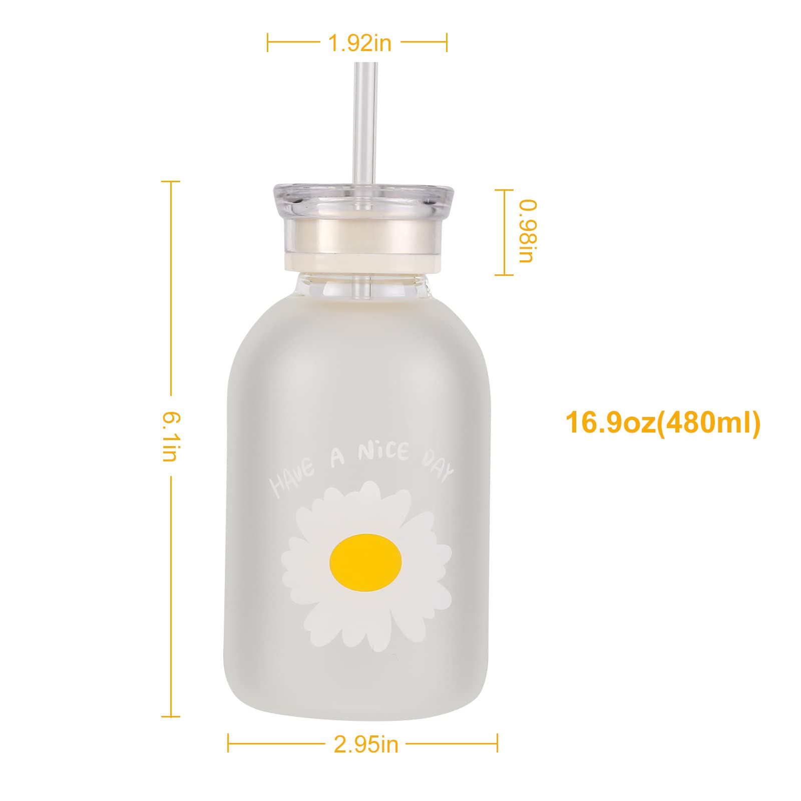 ASTROWORLD WISH YOU WERE HERE 16.9oz(480ml) Milk Juice Water Bottle with Scale,2 Lids and 2 straws Little daisy Matte Portable glass Water Cup, One Flower Grass Bottles Creative Handy Cup