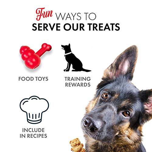 Grandma Lucy's Organic Oven Baked Dog Treats - Cranberry, 14 oz