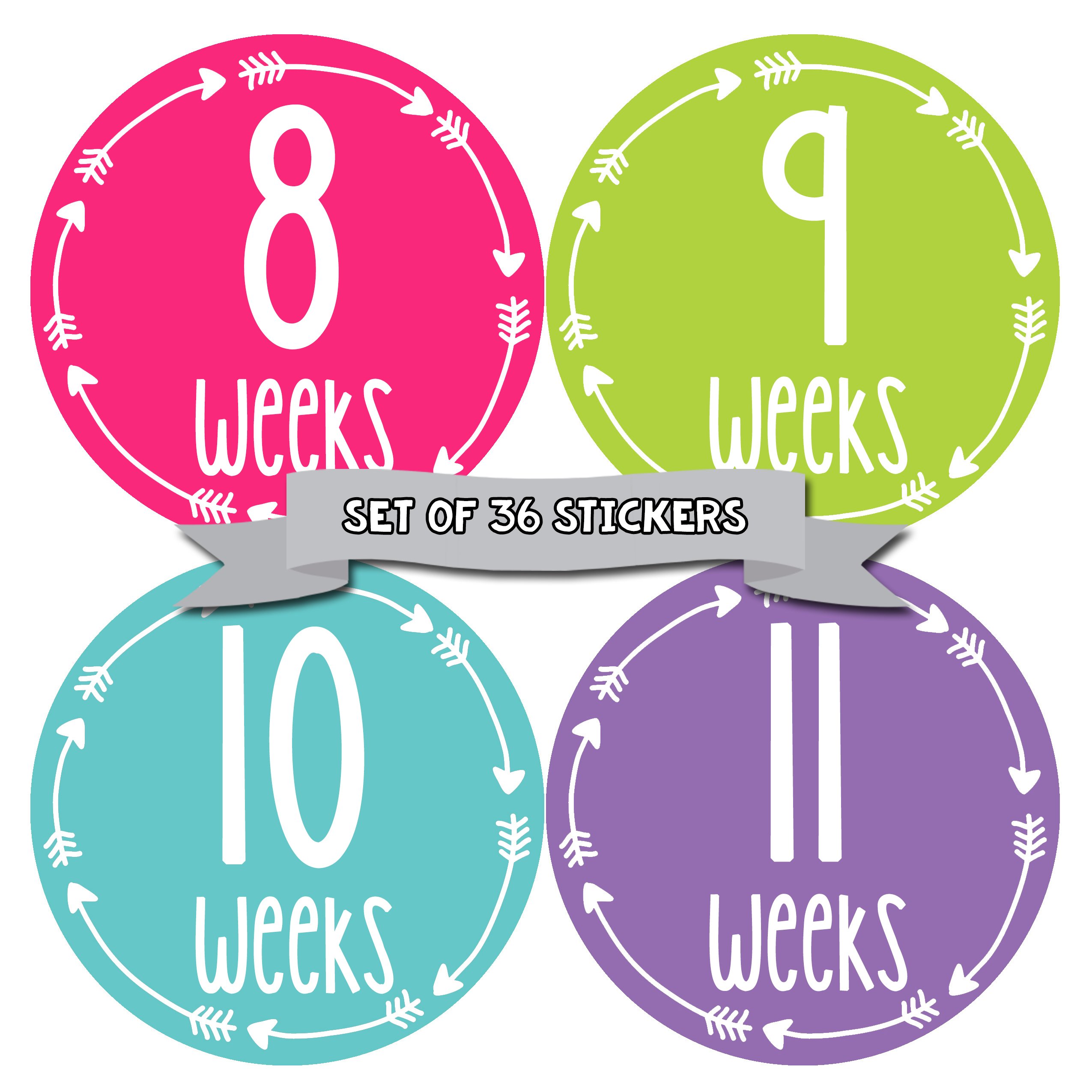 Months In Motion Pregnancy Weekly Belly Growth Stickers - Week to Week Pregnant Expecting Photo Prop - Maternity Keepsake - Baby Bump - Large Set of 36 Weekly Photo Sticker