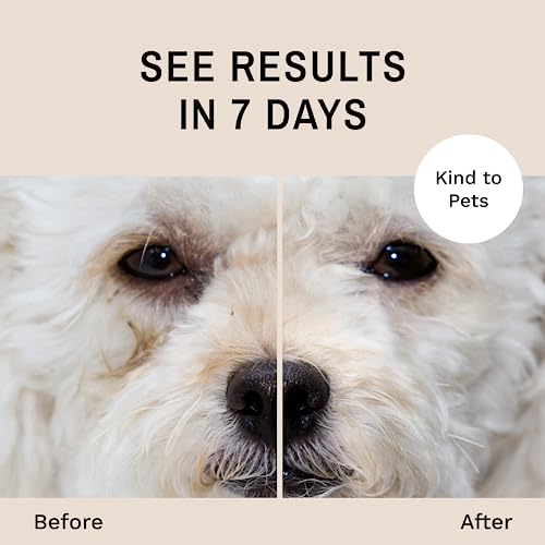 Eye Envy Dog Tear Stain Remover Starter Kit | Tear Stain Essentials in one kit at a 2-Step System | Lasts 30-45 Days | Solution 2 fl.oz, Applicator Pads 30 Count and Powder 0.5oz
