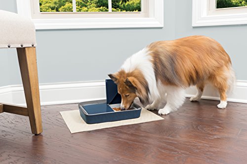PetSafe Digital Two Meal Automatic Pet Feeder for Cats and Dogs, 2 x 200 g Trays, 4 Day Programming,Blue
