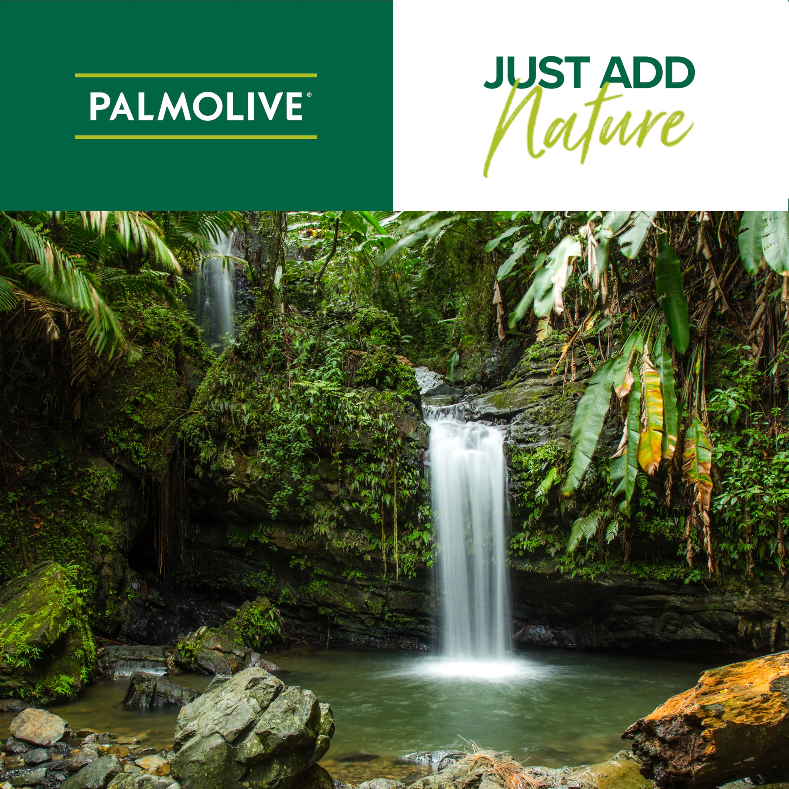 Palmolive Naturals Anti Dandruff 2 in 1 Hair Shampoo and Conditioner, 350mL