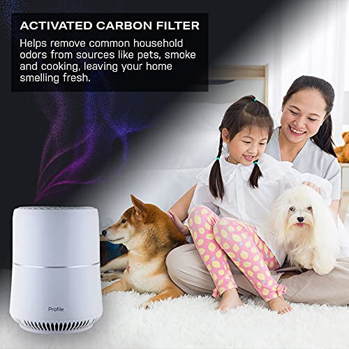 GE Profile Air Purifier Replacement Filter, Removes Odors & Other Impurities, White, 1 Pack