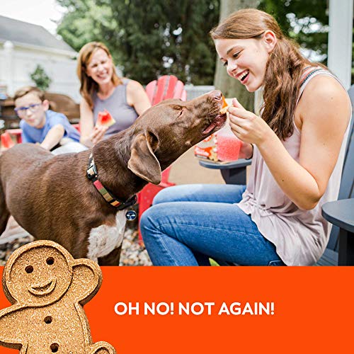 Buddy Biscuits Oven-Baked, Healthy Whole-Grain, Crunchy Treats for Dogs, 3.5lb