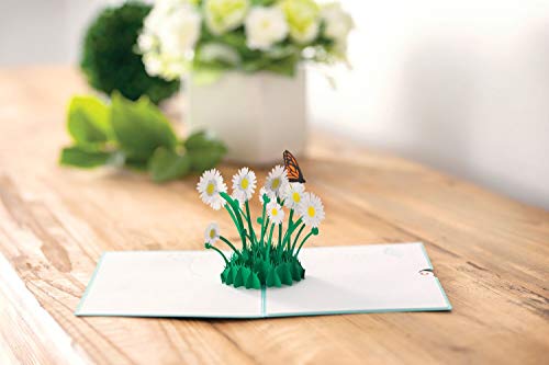 Lovepop Daisy Patch Pop Up Card - 3D Card, Greeting Card, Flower Card, Anniversary Card, Mother's Day Card, Birthday Card, Appreciation Card (Retiring Design)