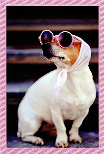 Audrey Hepburn Dog with Pink Glasses in Focus Feminine Birthday Card for Her/Woman