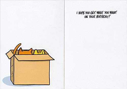 Cats Shopping Online - Oatmeal Studios Funny/Humorous Birthday Card