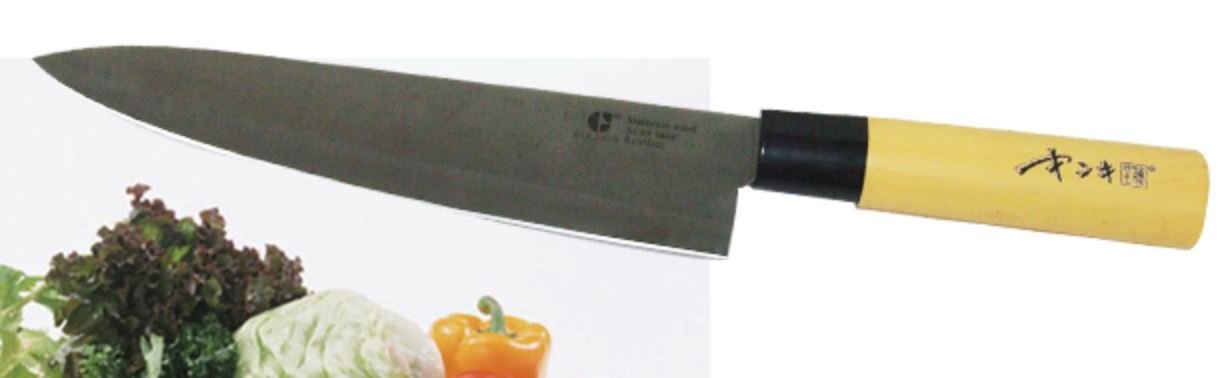 Goldsun Stainless Steel Acier Inox Rostfrei 5 Piece Sashimi Asain Knives