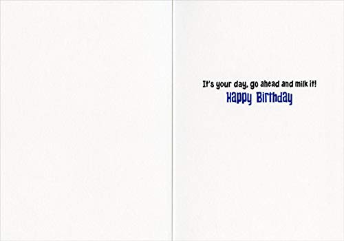 Avanti Cat with Milk Jug Funny/Humorous Birthday Card
