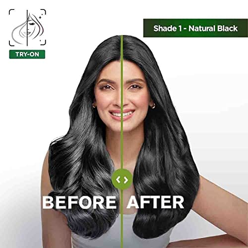 Garnier Color Naturals Nourishing Permanent Hair Color Cream - Natural Black 1 Set
