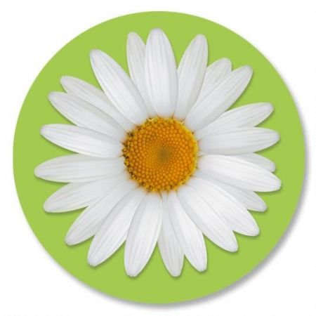 Daisy Envelope Seals - Set of 24 (1 Design) Sticker Seals on 8-1/2" x 11" Sheet