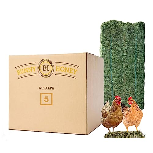 Bunny Honey Bulk Fresh Alfalfa Hay 80oz USDA Organic Alfalfa Hay for Chickens - Best Cut & Delivered Fresh - Promotes Healthy Digestive Function - 5 Pound