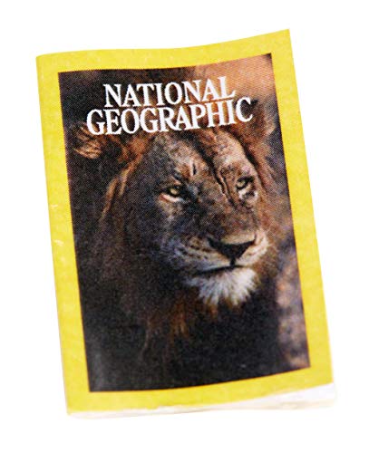 Barbie Photojournalist Doll, Brunette, Inspired by National Geographic for Kids 3 Years to 7 Years Old