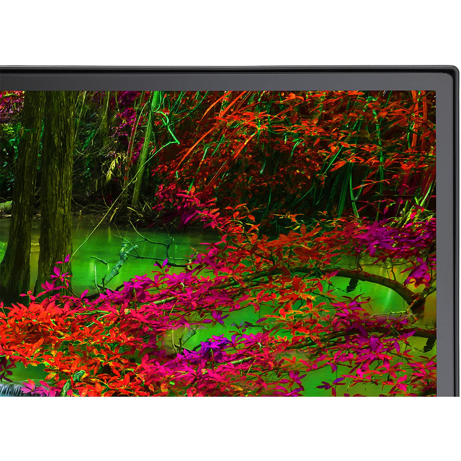 NEC 27” Business-Class Widescreen Desktop Monitor w/Ultra-Narrow Bezel and IPS Panel