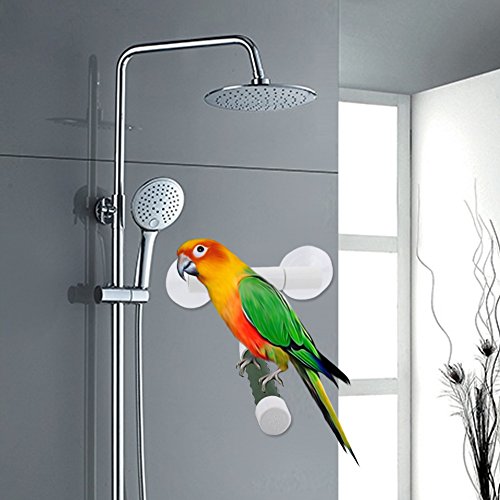 Parrot Bath Perch,Bird Perches Parrot Budgie Foldable Suction Cup Window Shower Bath Wall Paw Grinding Stand Toy
