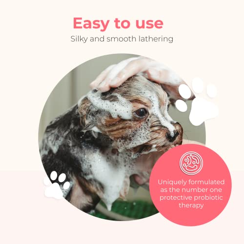 Pawfume Hypoallergenic Best Dog Shampoos & Conditioners β Probiotic Pet Shampoo for Smelly Dogs ,Puppies (Show Dog)