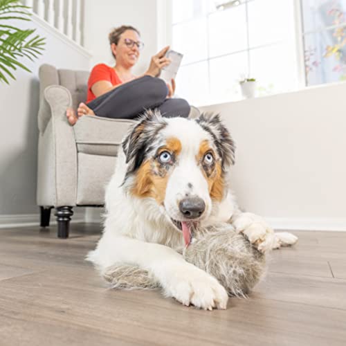 Hyper Pet Doggie Tail Interactive Plush (Wiggles, Vibrates, and Barks β Dog Toys for Boredom and Stimulating Play)